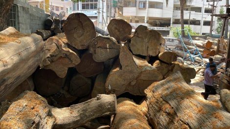 Acacia, Teakwood, Rosewood & More Timber Shop In Bangalore