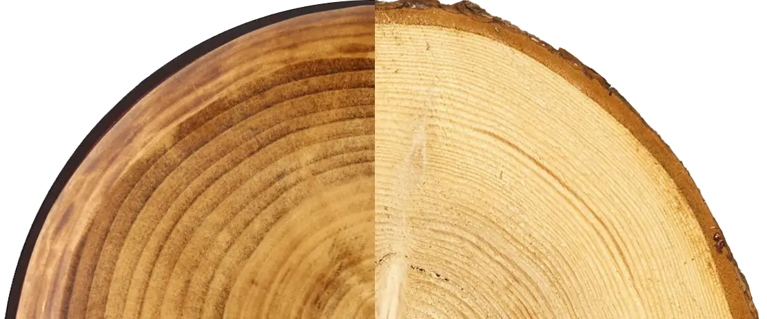 Softwoods & Hardwoods: Differences, Janka Hardness & Uses - Harsha ...